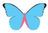 Butterfly Cleaning Service